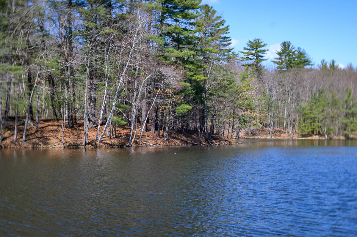Beginner Photography in the Field: Dorrs Pond, Manchester, NH | Hunt's ...