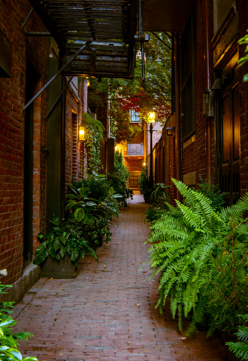Hunt’s Photo Walk: Beacon Hill in the Evening | Hunt's Photo Education