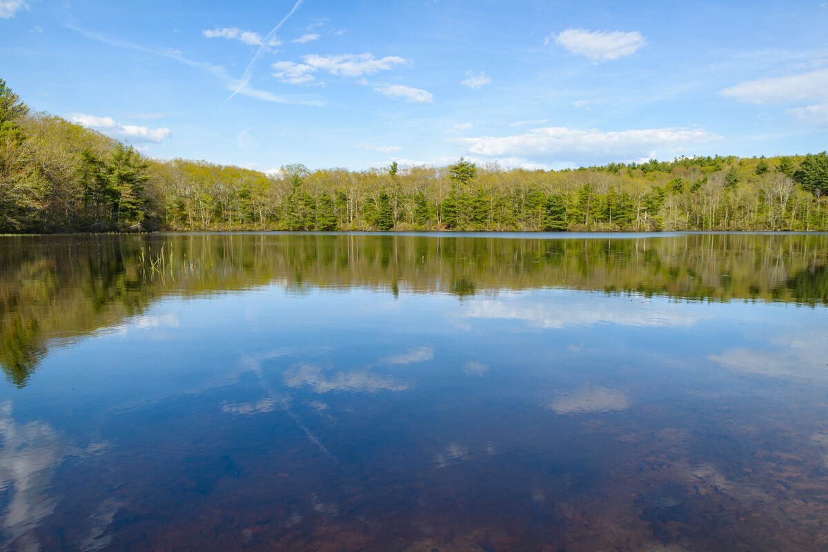 Beginner Photography in the Field: Dorrs Pond, Manchester, NH | Hunt's ...