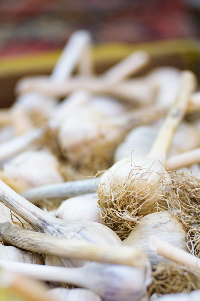 Beginner Photography Series- Hunt’s Photo, Melrose | Hunt's Photo Education