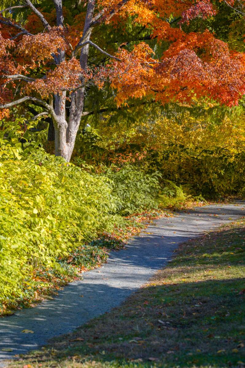 Hunt’s Photo Walk: Mt Auburn Cemetery in the Fall | Hunt's Photo Education