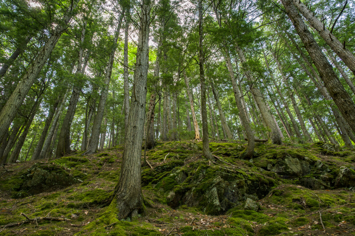 Beginner Photography in the Field: Profile Falls, Bristol, NH | Hunt's ...