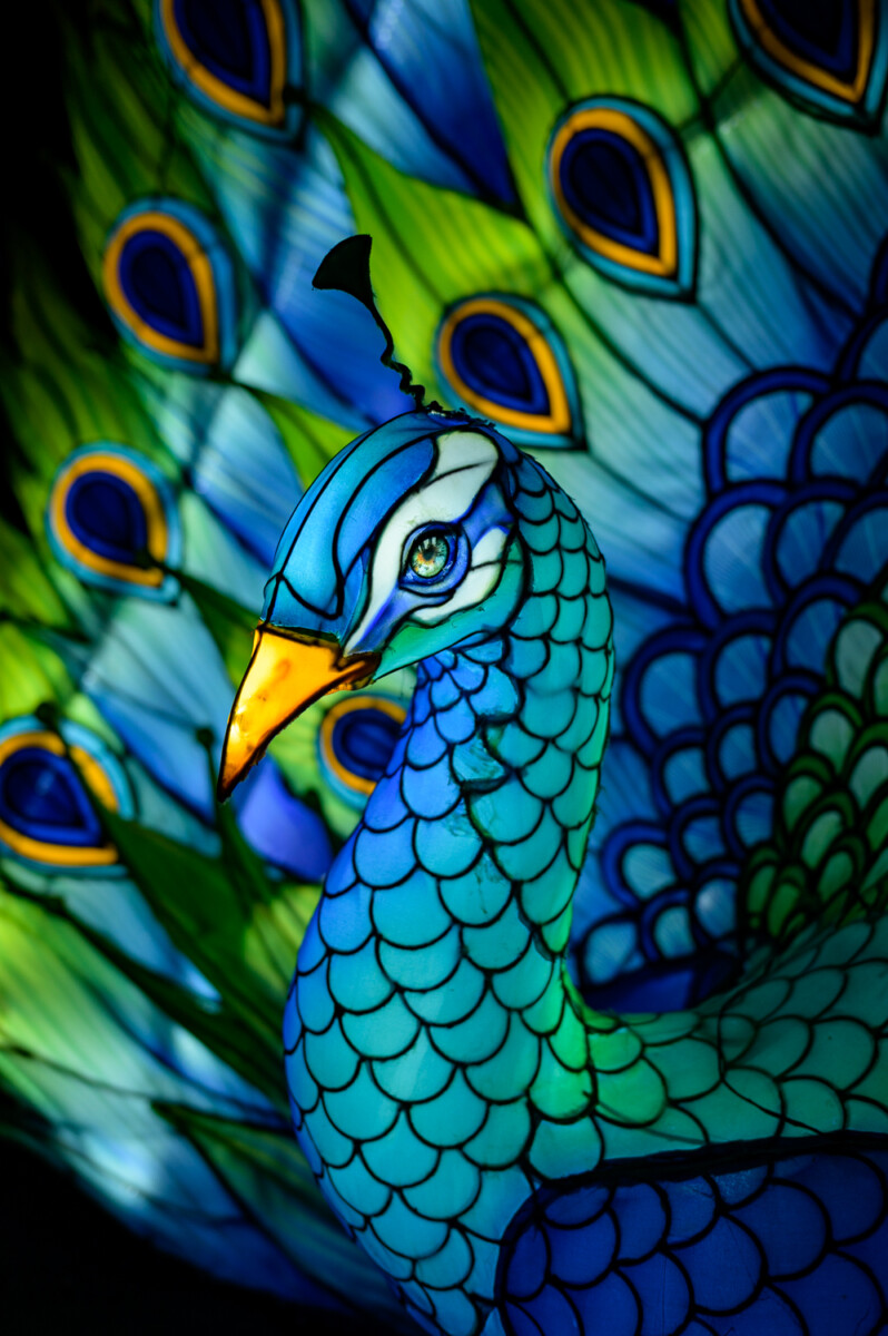Hunt’s Photo Walk: Zoo Lights! Franklin Park Zoo in the Evening | Hunt ...