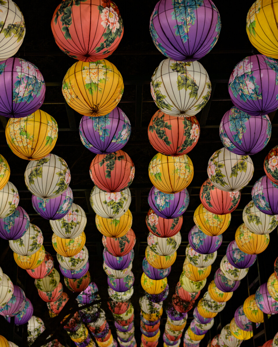 Hunt’s Photo Walk: Zoo Lights! Franklin Park Zoo in the Evening | Hunt ...