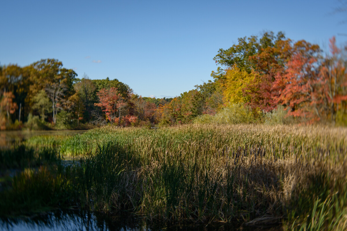 Hunt’s Photo Walk: Winter at Odiorne Point State Park, Rye, NH | Hunt's ...
