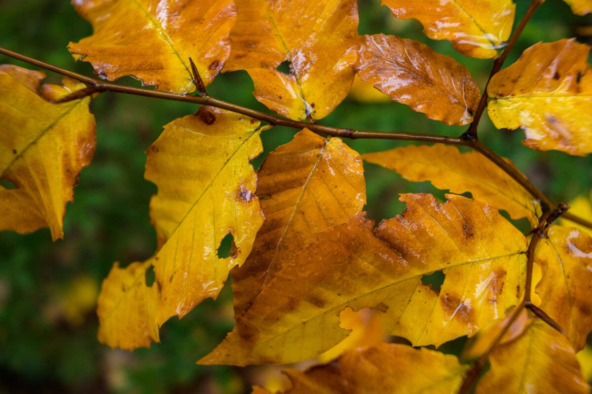 Hunt’s Photo Walk: Winter at Odiorne Point State Park, Rye, NH | Hunt's ...