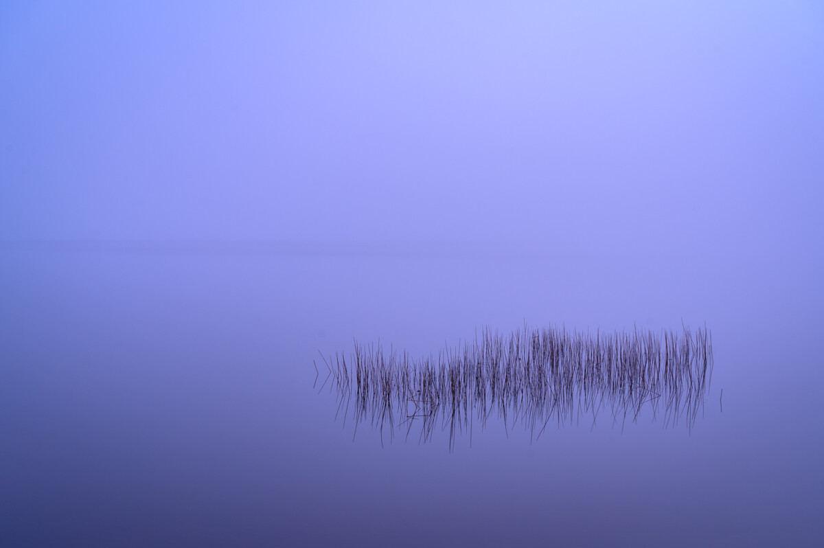 Online: Multi-Session Series- Working with Landscape Photography | Hunt ...