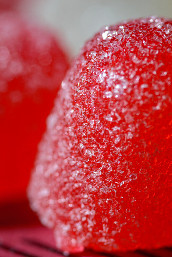 Holiday Macro & Tabletop Photography Workshop- Hunt’s Photo Melrose ...