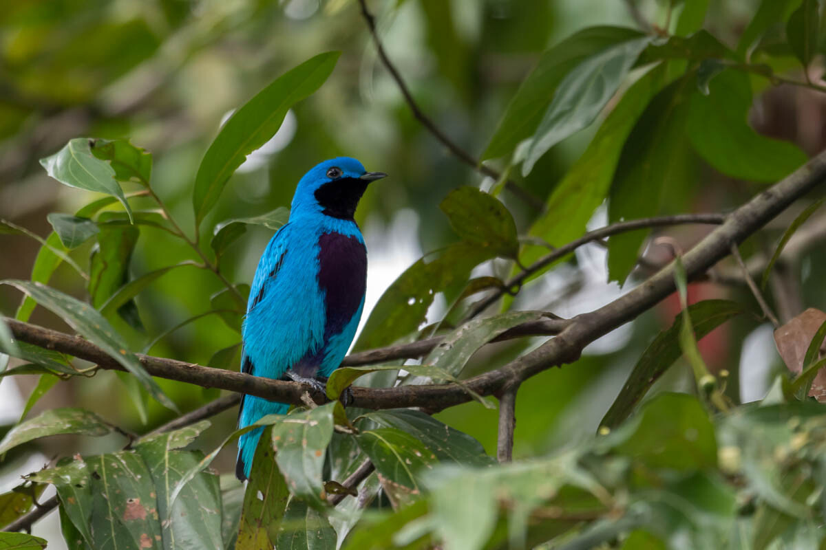 Hunt’s Photo Adventure: Costa Rica | Hunt's Photo Education