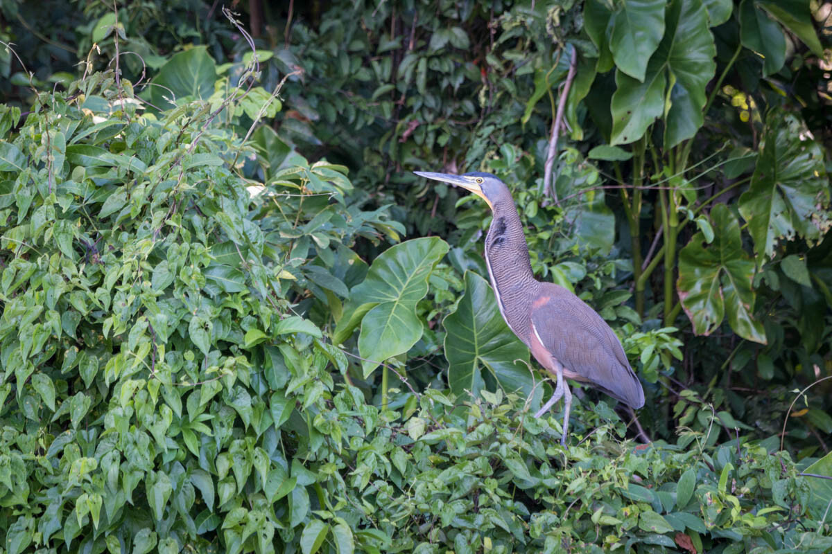 Hunt’s Photo Adventure: Costa Rica | Hunt's Photo Education