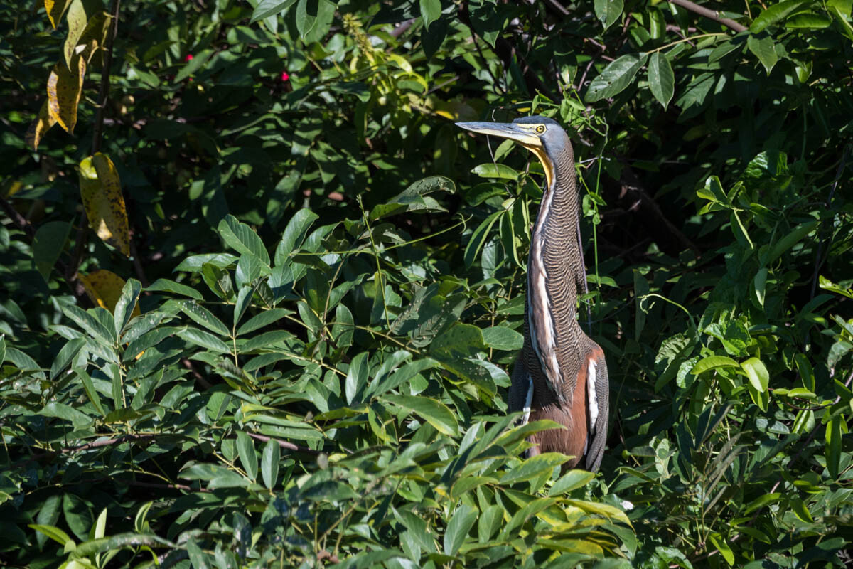 Hunt’s Photo Adventure: Costa Rica | Hunt's Photo Education