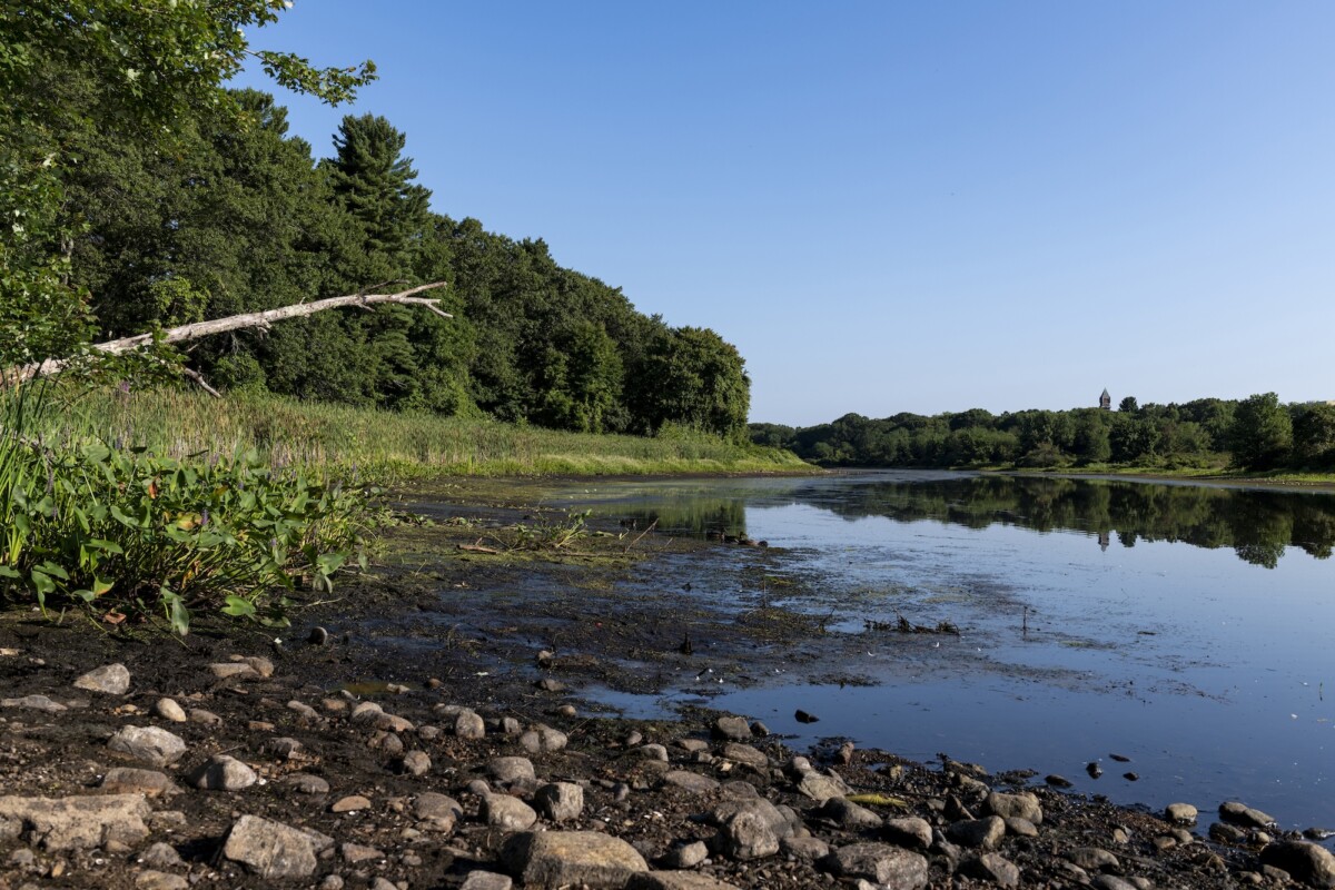 Hunt’s Photo Walk: Creative Photography at Cutler Park Reservation ...
