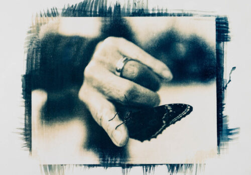 Creating Cyanotypes Workshop- Hunt’s Photo, Waltham | Hunt's Photo ...