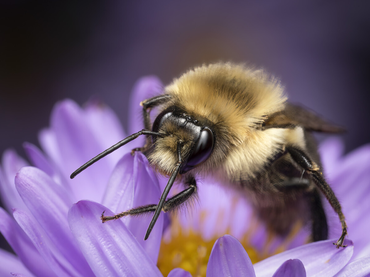 Hunt’s Photo Experience: Discover the Creative Power of OM SYSTEM ...