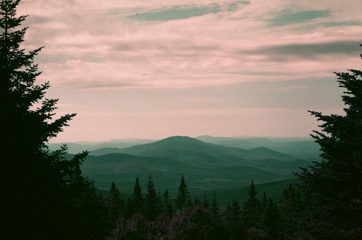 Intro to 35mm Film- Hunt’s Photo, Melrose | Hunt's Photo Education