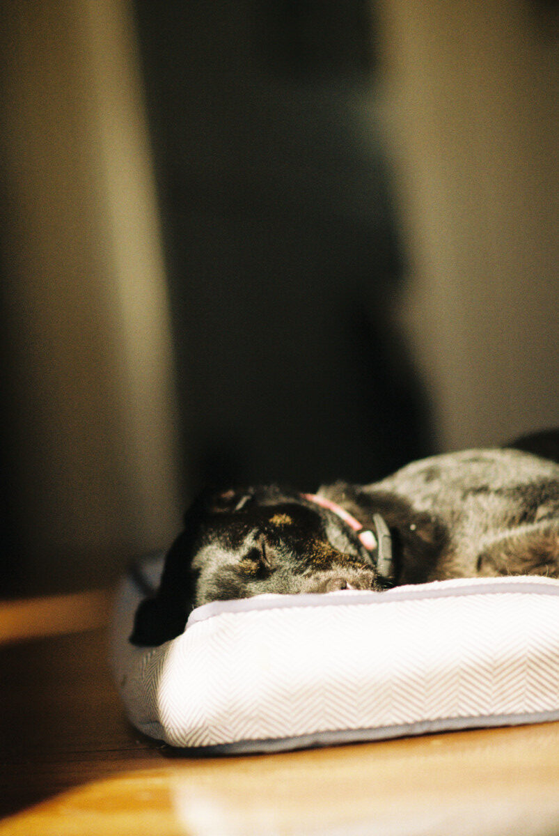 Intro to 35mm Film- Hunt’s Photo, Melrose | Hunt's Photo Education