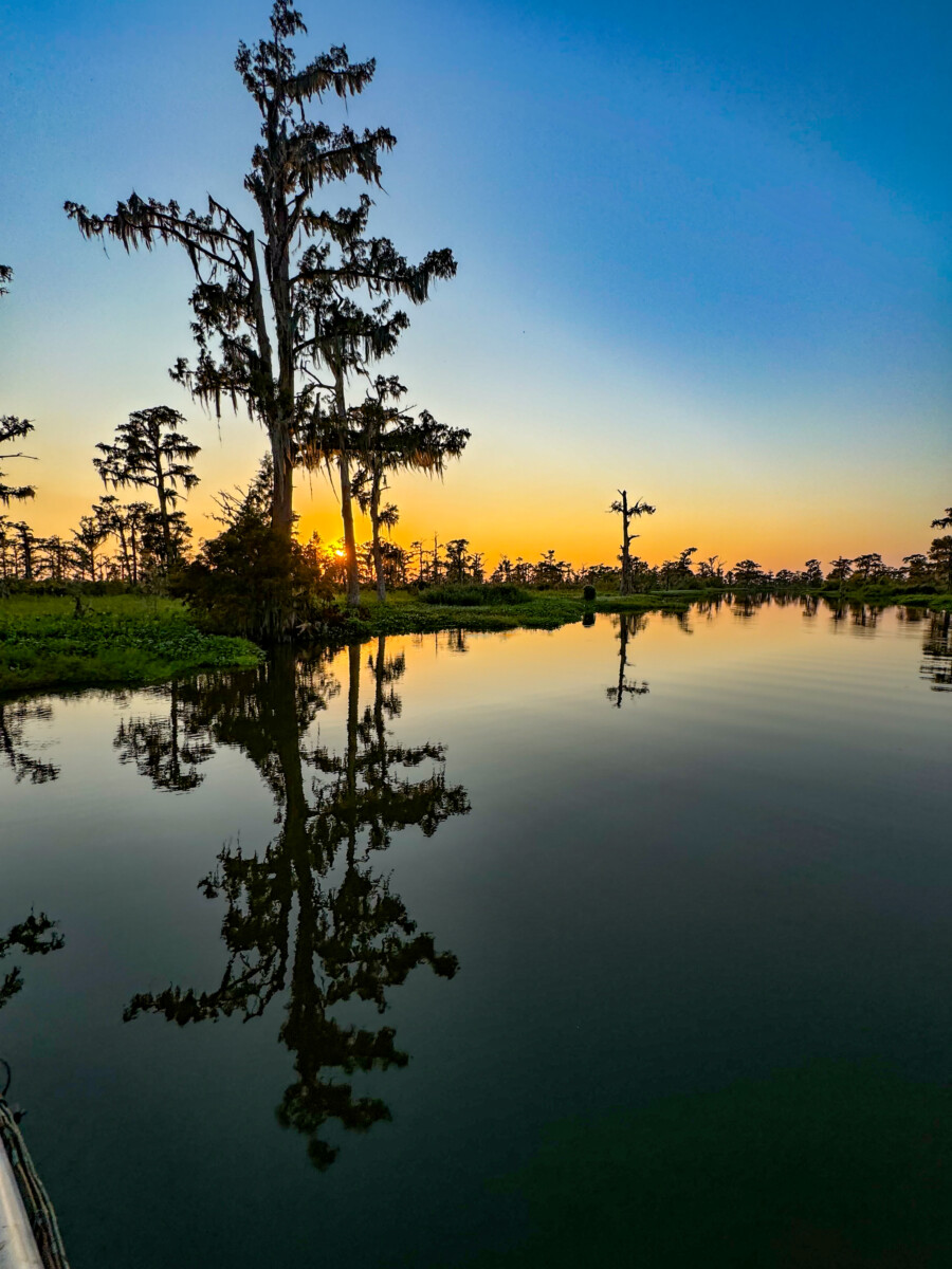 Hunt’s Photo Adventure: Autumn in New Orleans & The Louisiana Bayou ...