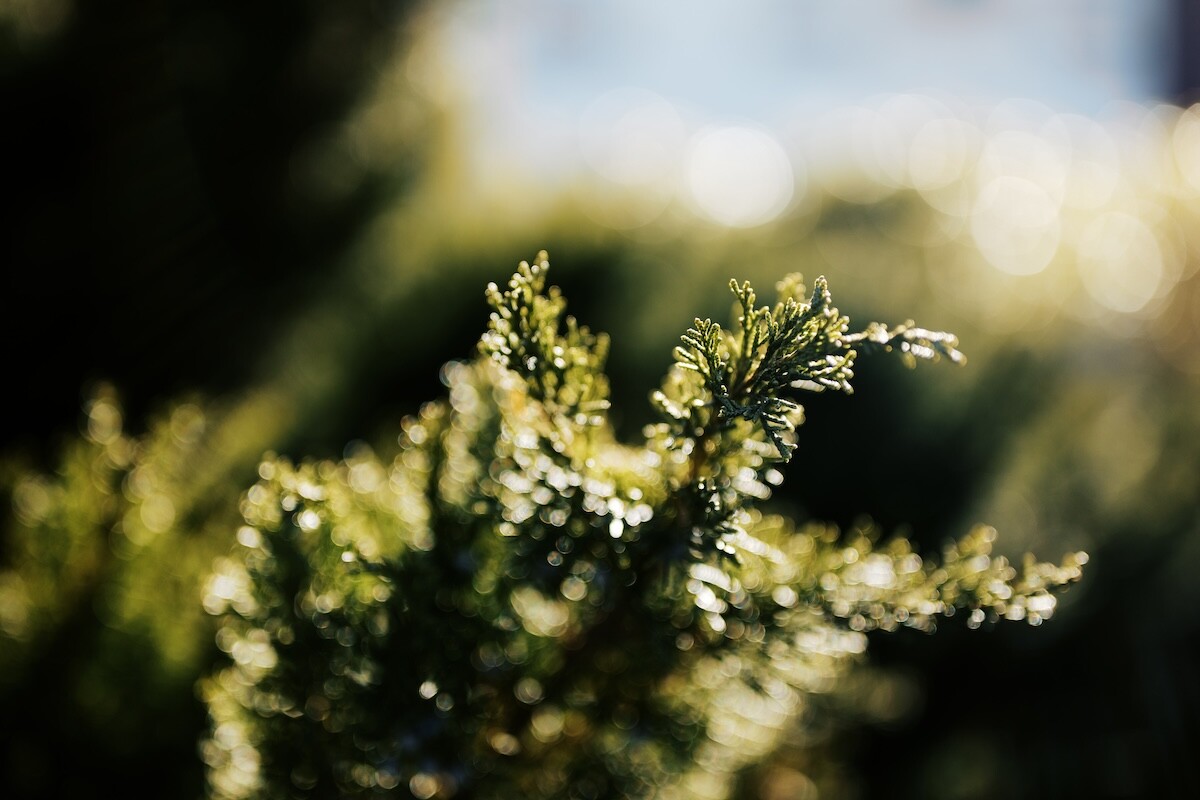 Intermediate Photography: Getting the Look in Your Photography- Hunt’s ...