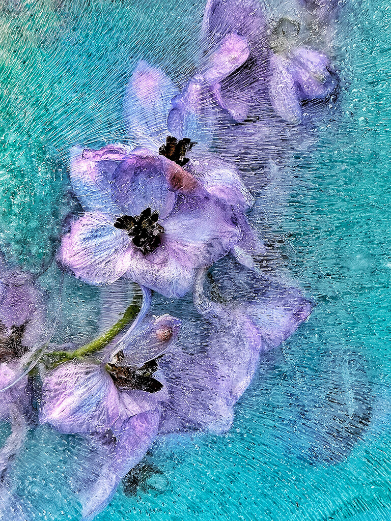 Online: Special Guest Series- Pixels in Your Pocket: Creative Mobile ...