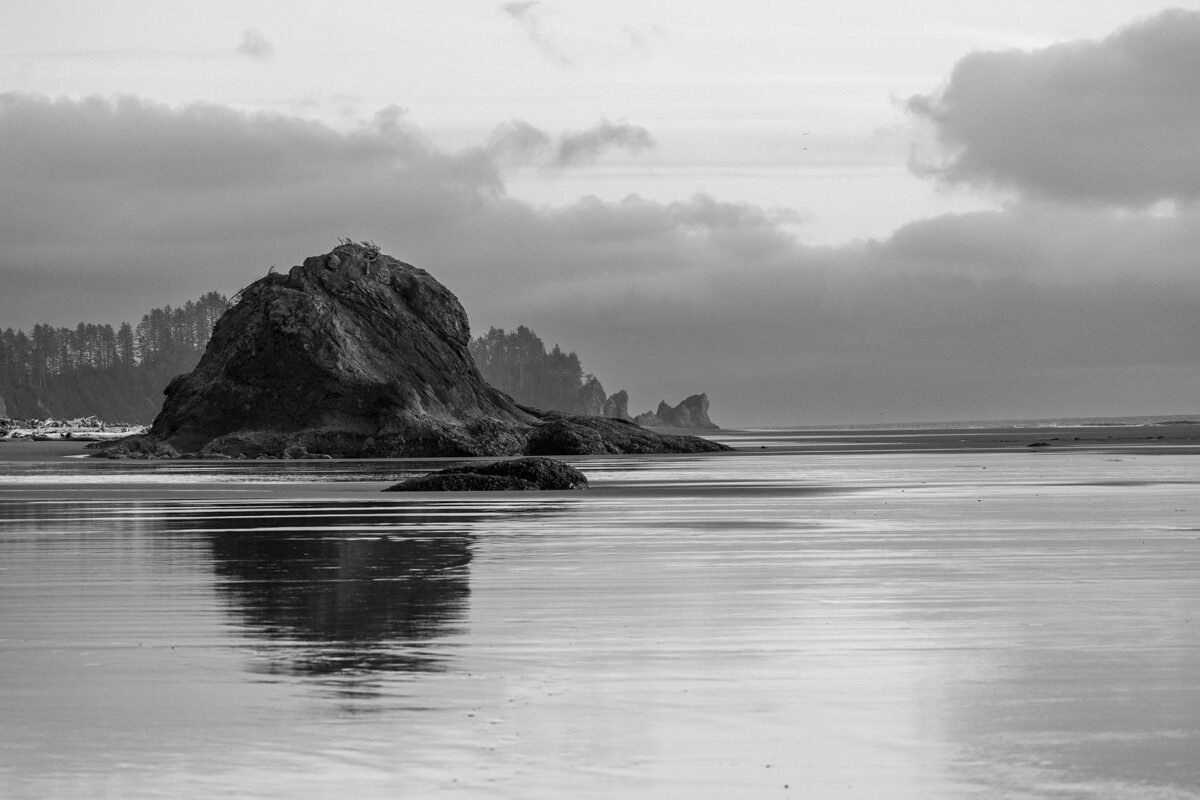 Hunt’s Photo Adventure: Olympic National Park: Rain Forests, Seascapes ...