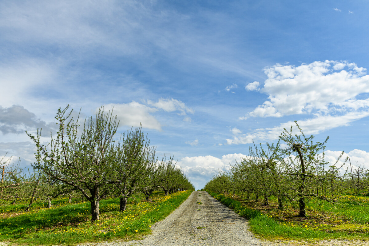 Hunt’s Photo Adventure: Spring in Solon, Maine | Hunt's Photo Education