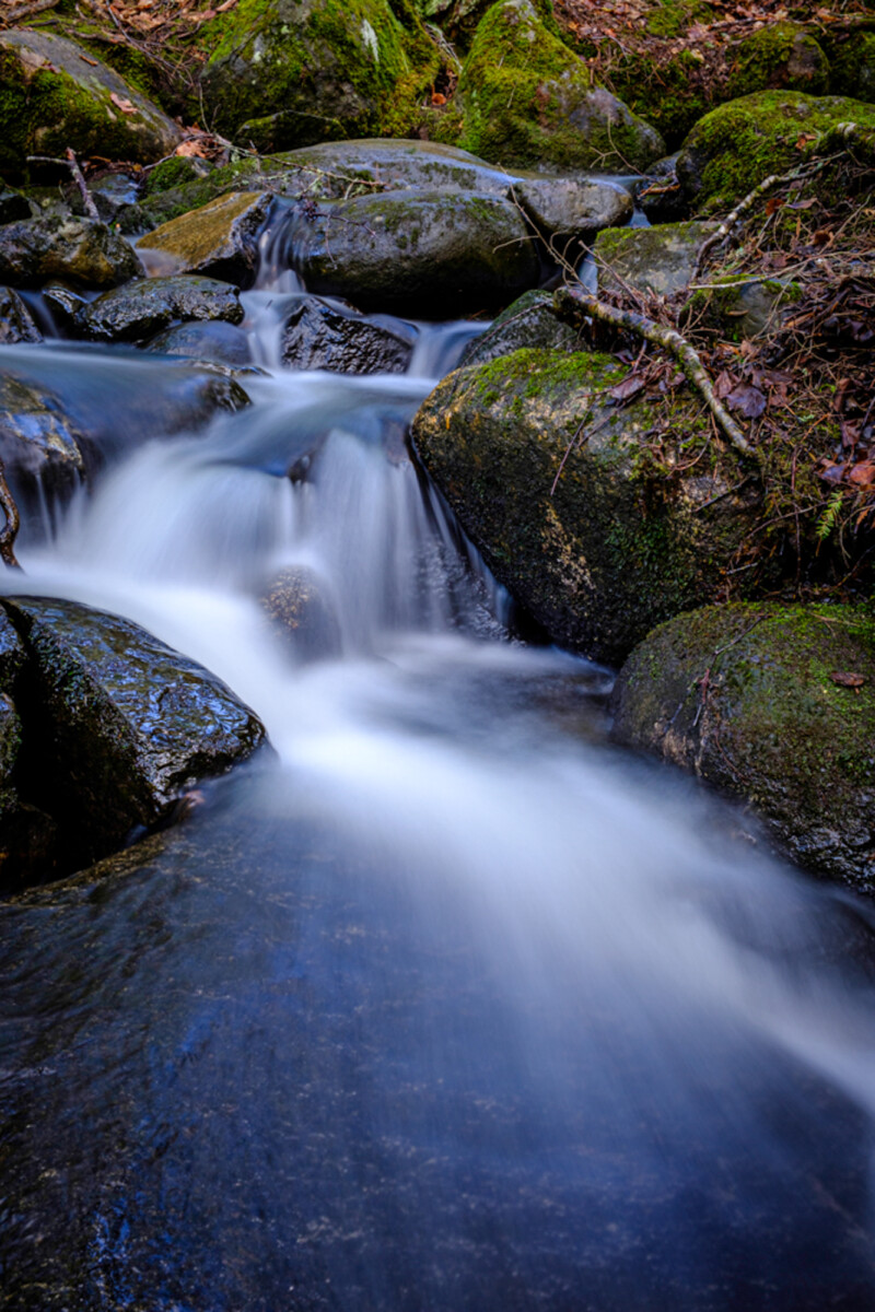 Hunt’s Photo Adventure: Spring in Solon, Maine | Hunt's Photo Education