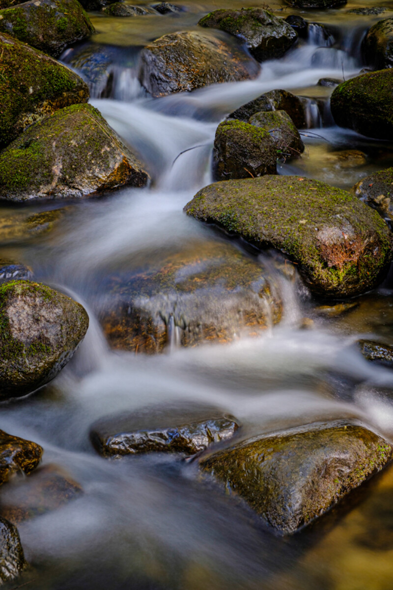 Hunt’s Photo Adventure: Spring in Solon, Maine | Hunt's Photo Education