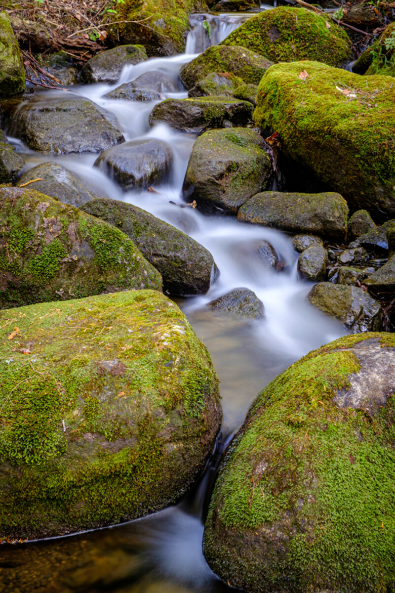 Hunt’s Photo Adventure: Spring in Solon, Maine | Hunt's Photo Education
