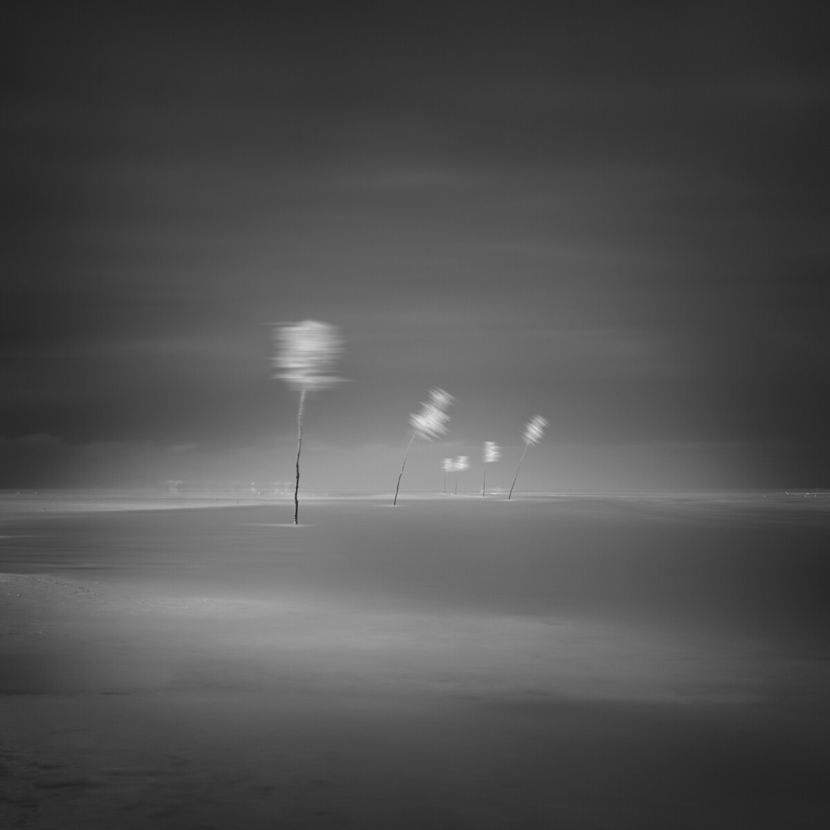 Hunt’s Photo Workshop: Infrared AND Long Exposure Photography with ...