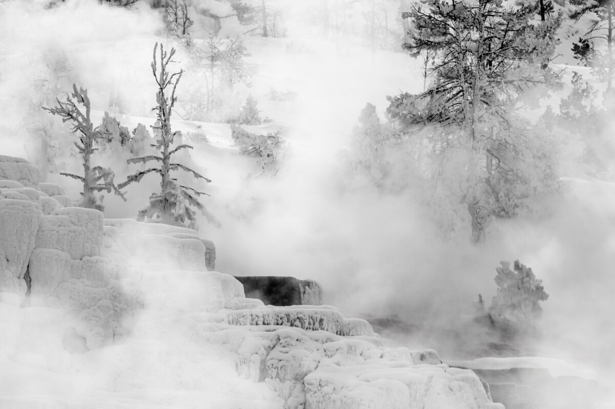 Hunt’s Photo Adventure: Winter in Yellowstone National Park | Hunt's ...