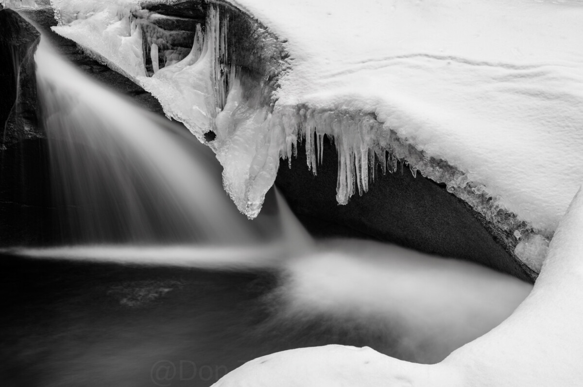 Hunt’s Photo Walk: The Basin | Hunt's Photo Education