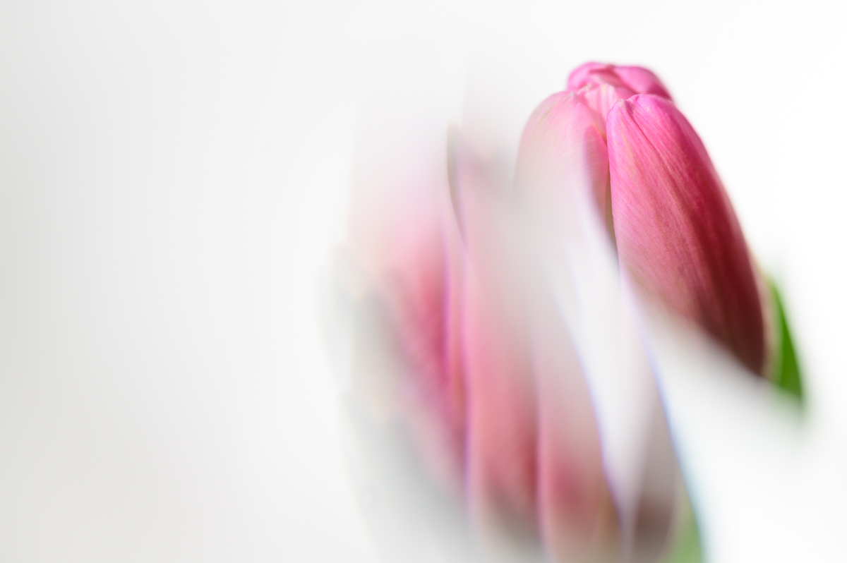 High Key/Low Key Still Life Photography Workshop- Hunt’s Photo Melrose ...